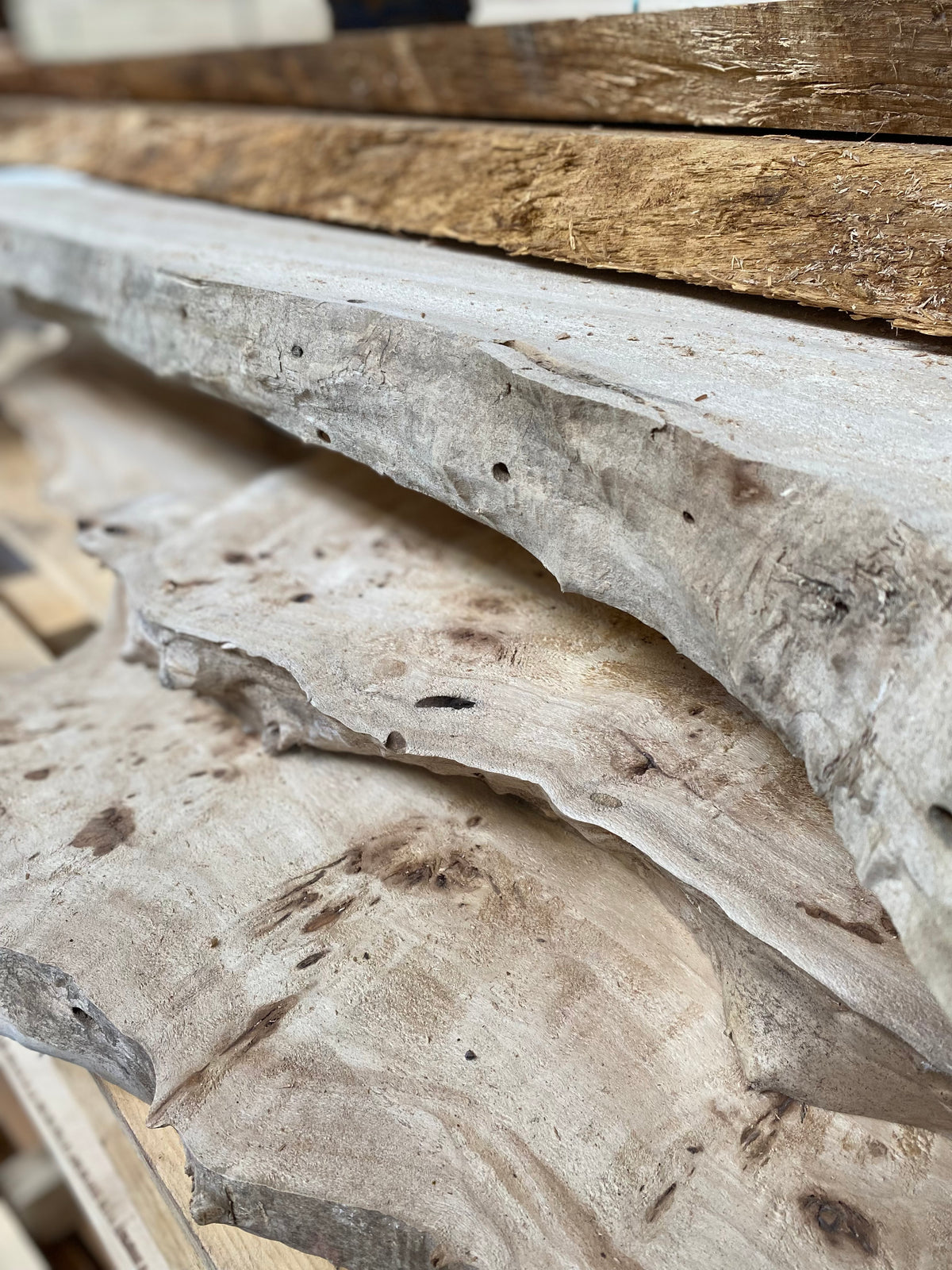 Engineered Oak Hardwood and the Environment — Derevo Hardwood Ltd